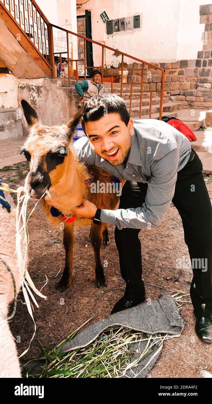 Goat bending hi-res stock photography and images - Alamy