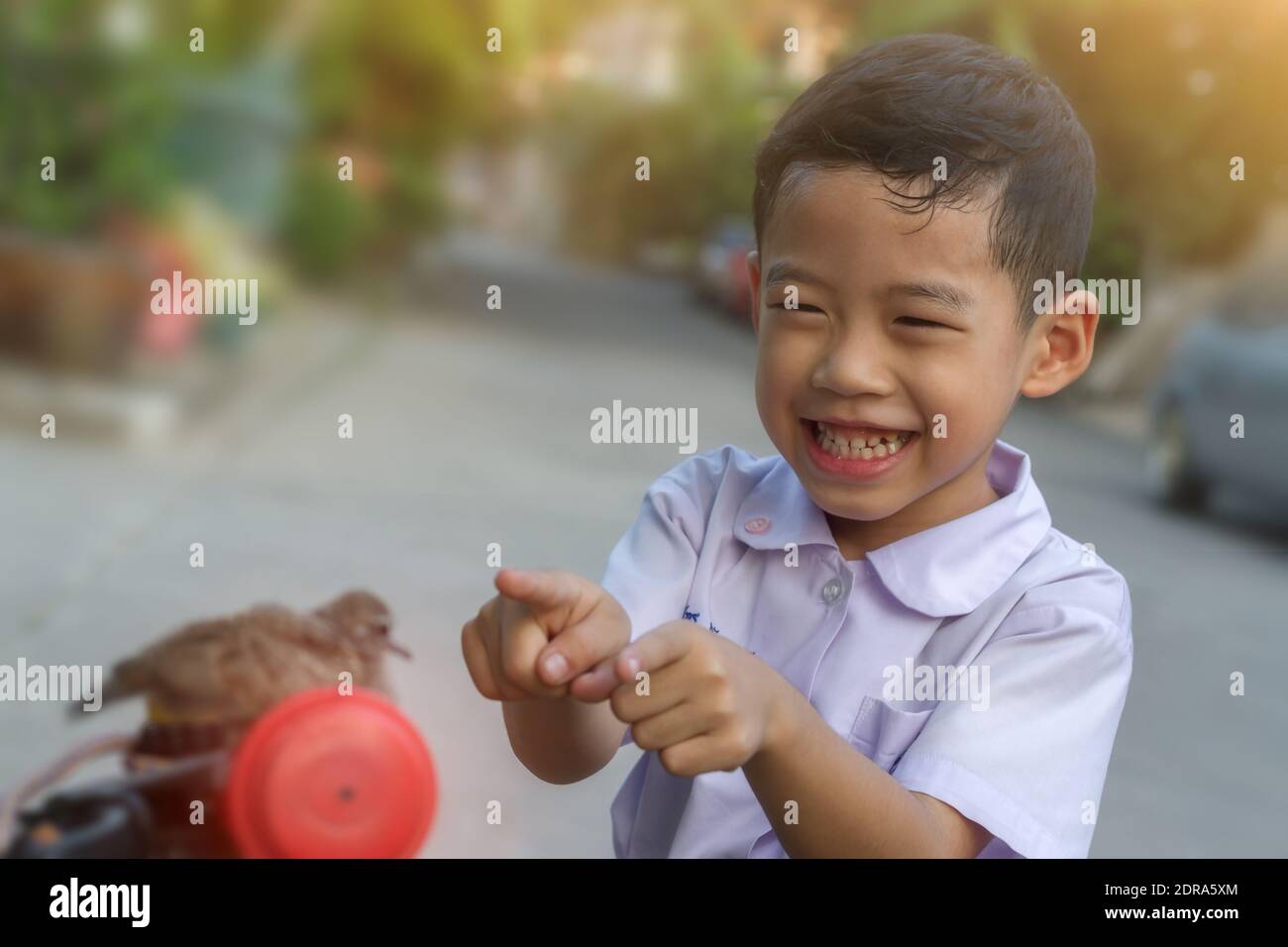 Boy pointing bird hi-res stock photography and images - Alamy
