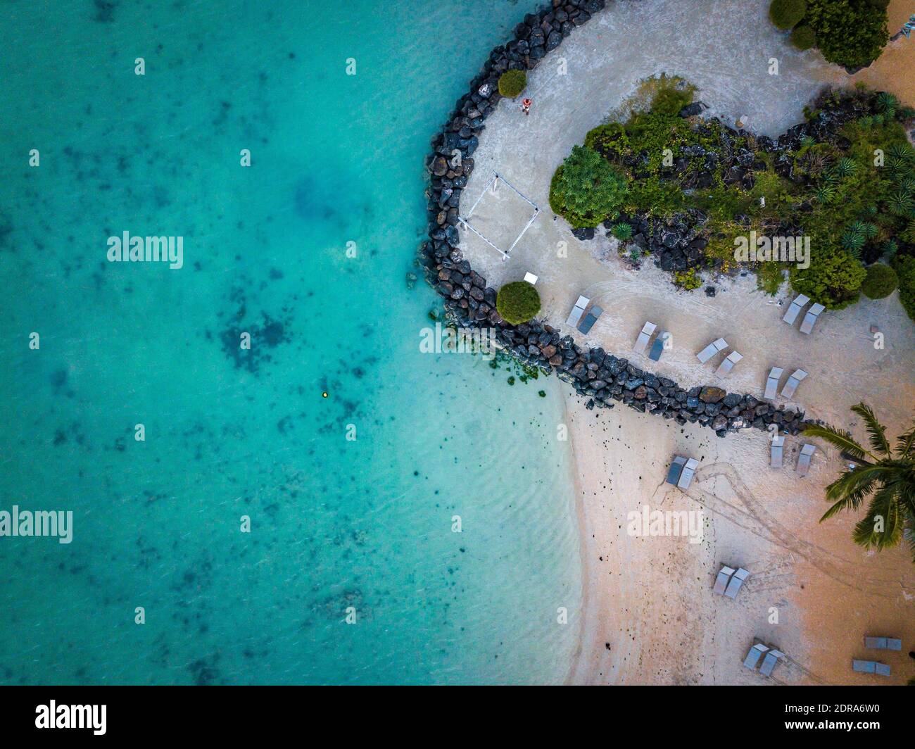 Calodyne mauritius hi-res stock photography and images - Alamy