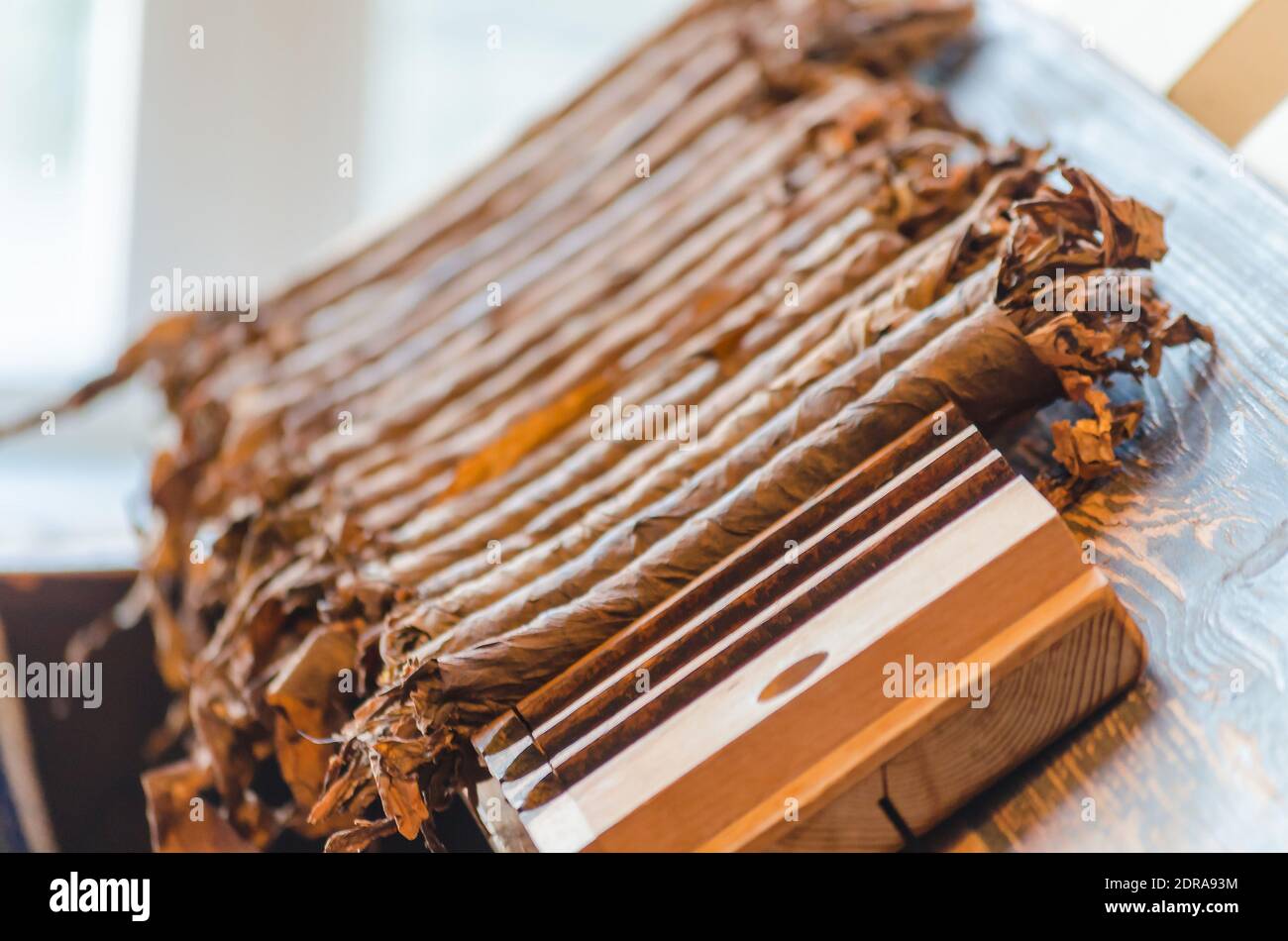 Tobacco processing products hi-res stock photography and images - Alamy