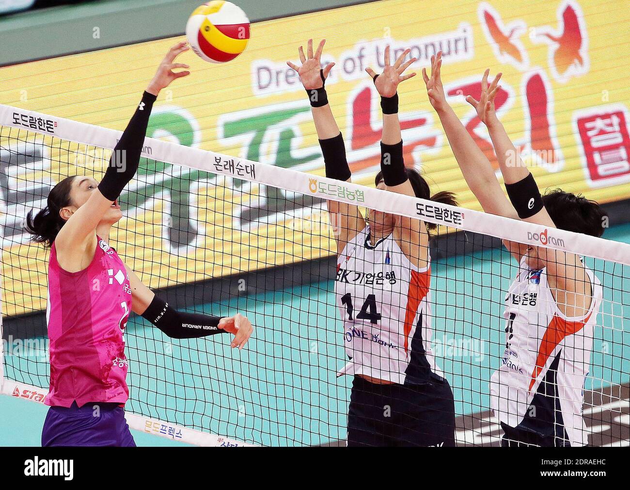 21st Dec, 2020. S. Korean volleyball star Kim Yeon-koung South Korean ...