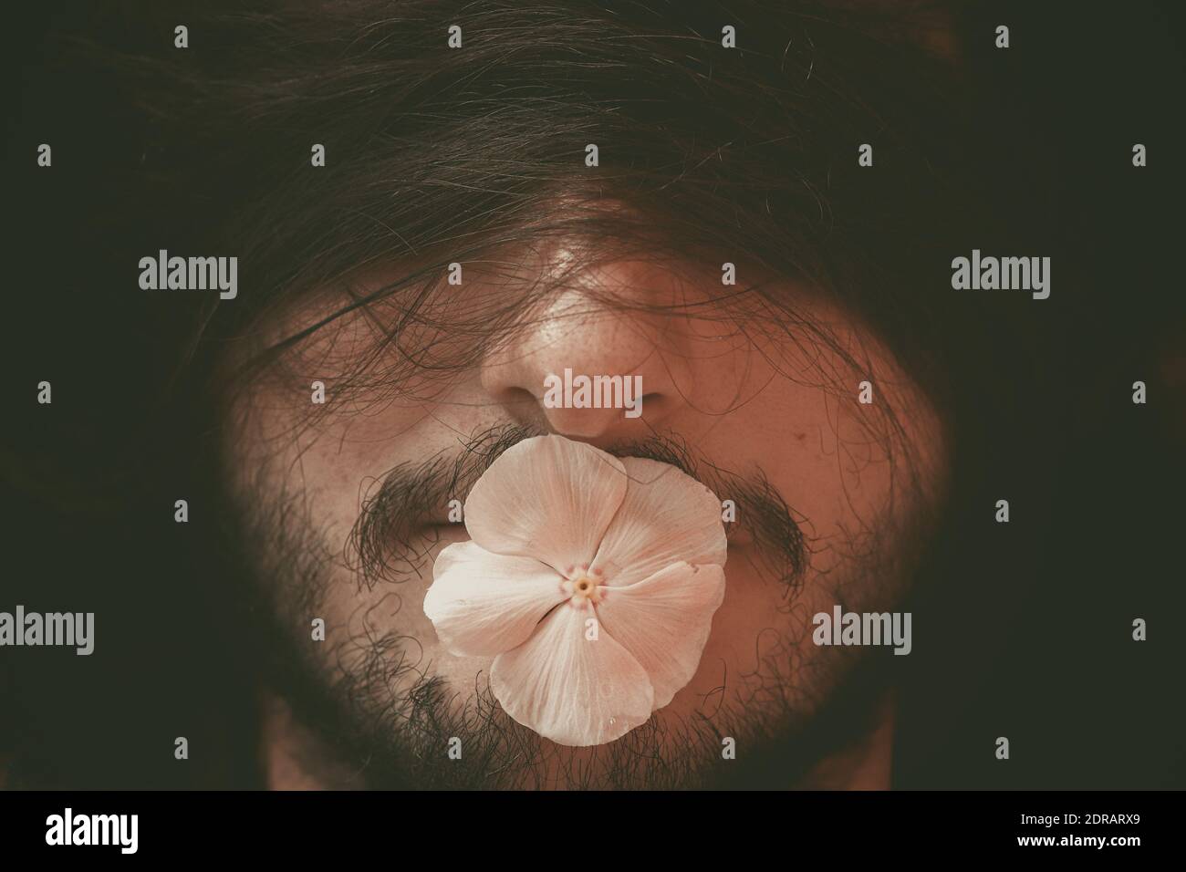 Periwinkle hair hi-res stock photography and images - Alamy