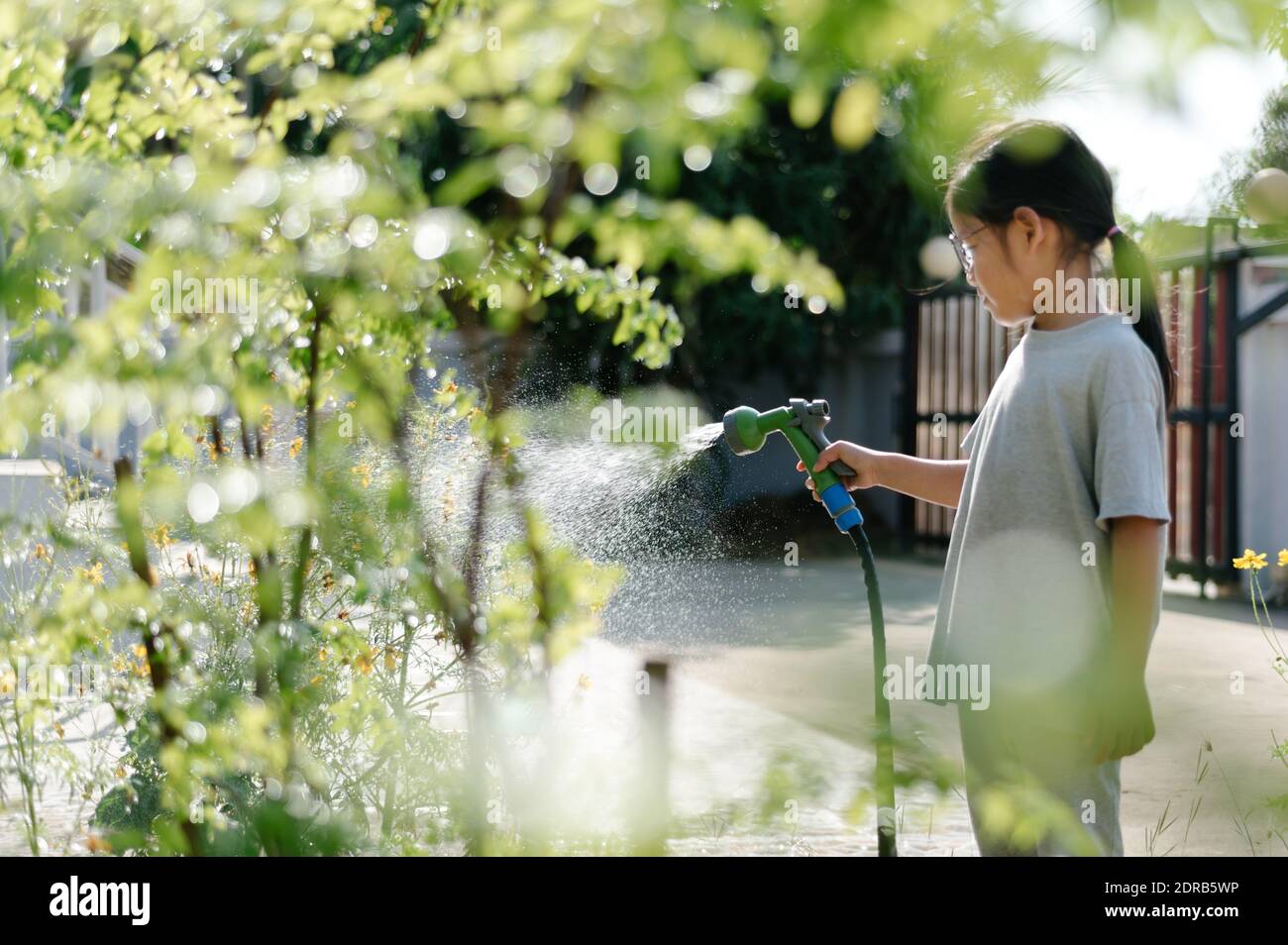 Spraying Water On Plants High Resolution Stock Photography and Images ...