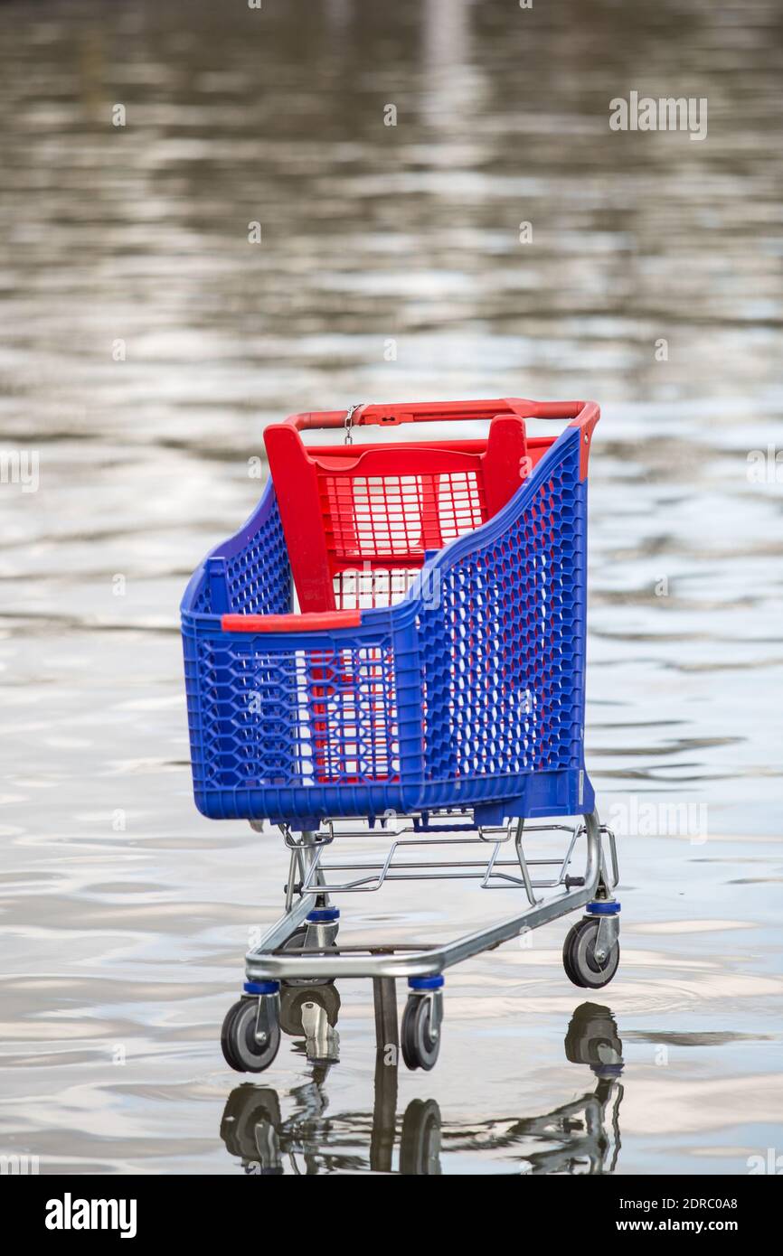OEUVRE DE MICHAEL PINSKY 'L'EAU QUI DORT', MICHAEL PINSKY EST ALLE ...