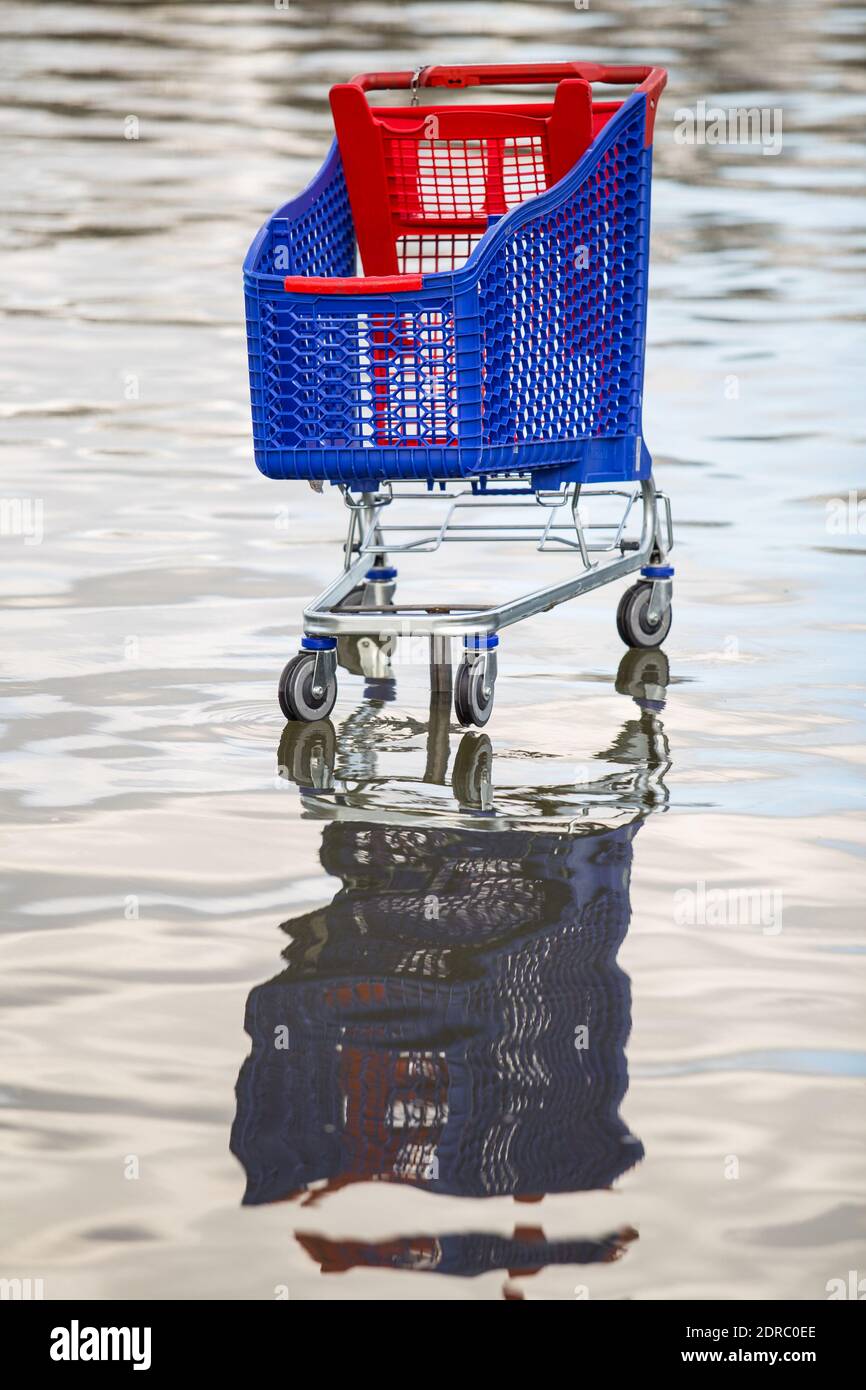 OEUVRE DE MICHAEL PINSKY 'L'EAU QUI DORT', MICHAEL PINSKY EST ALLE ...