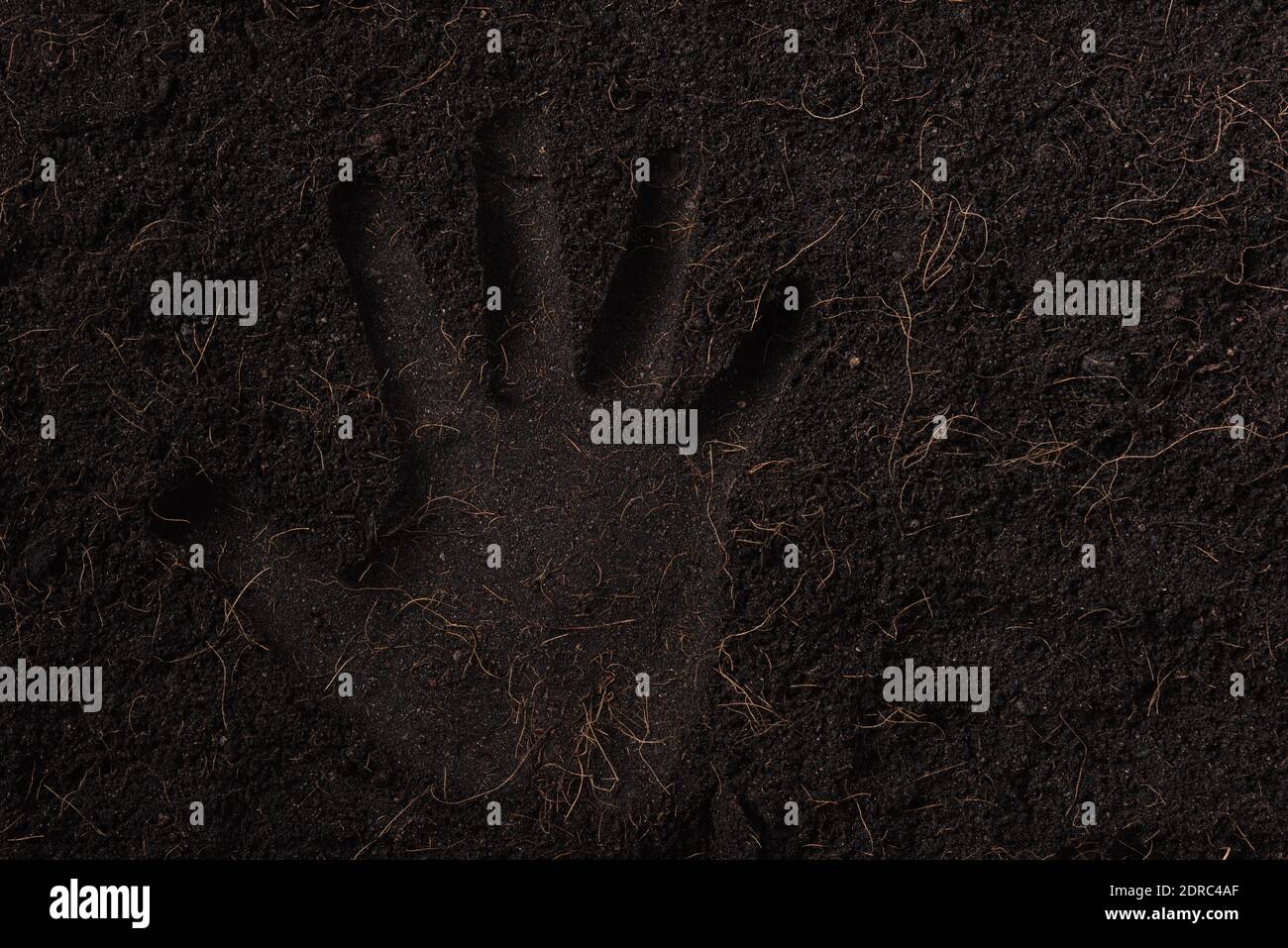 Hand print in black land for plant background, Top view of Handprint on ...