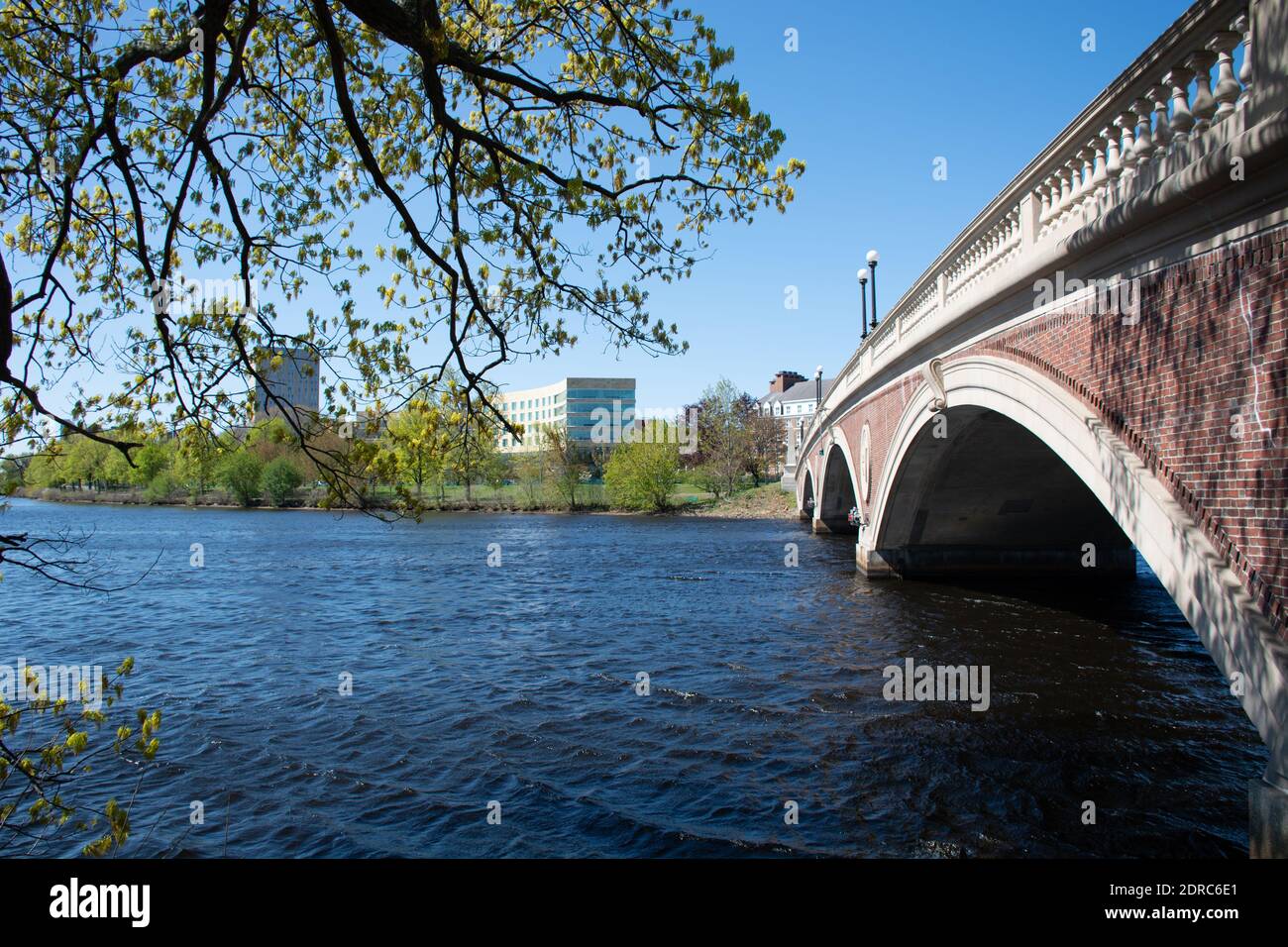 Harvard University Charles River High Resolution Stock Photography and ...