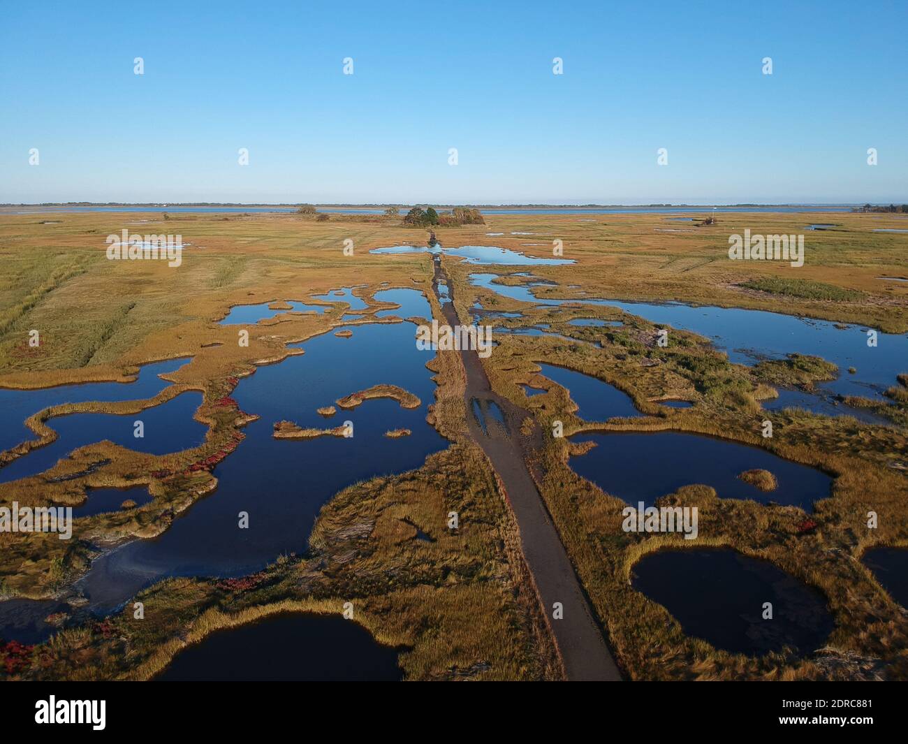The Great Marsh is a long, continuous saltmarsh in eastern New England ...