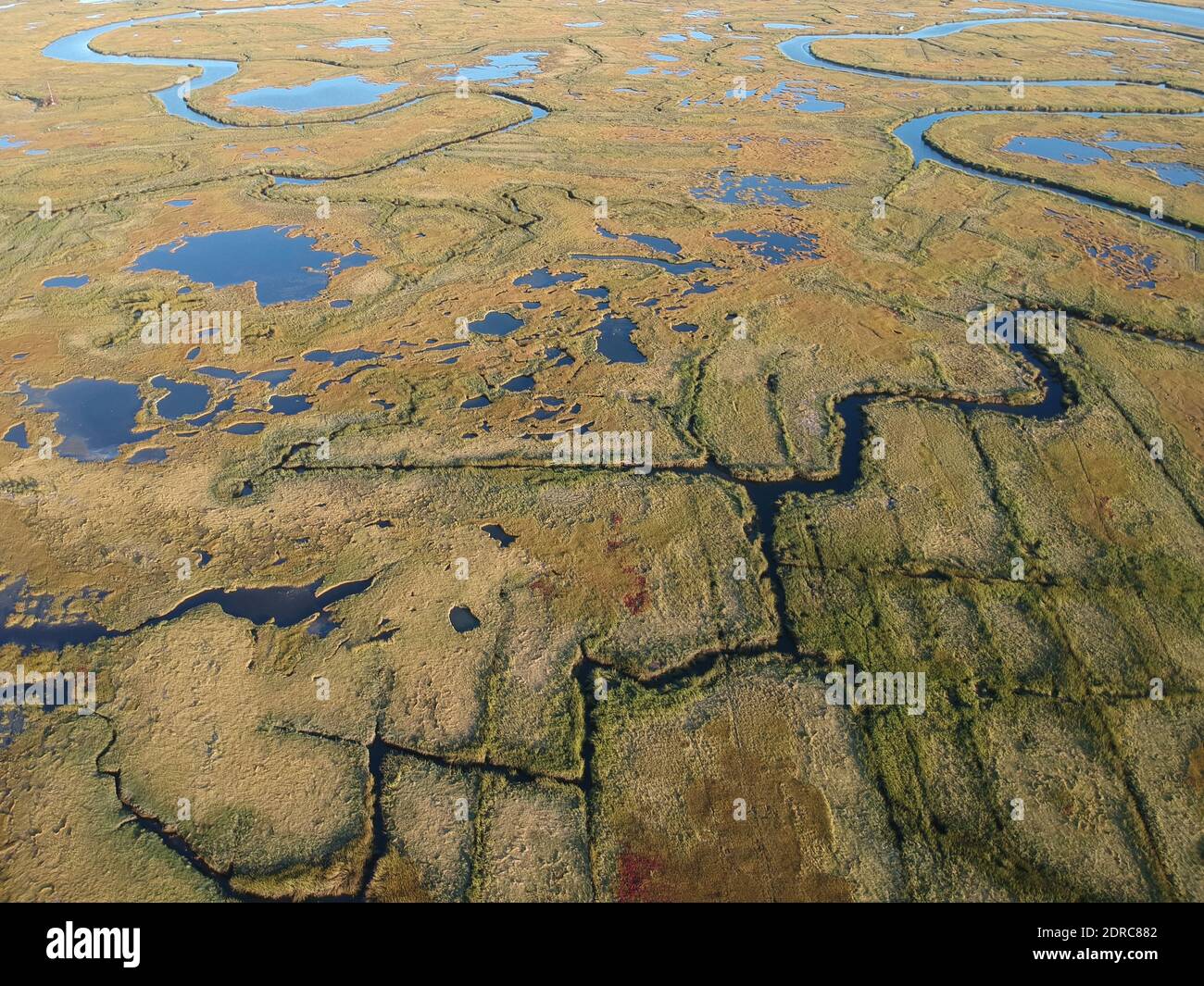 The Great Marsh is the largest coastal grassland in the Northeastern US ...