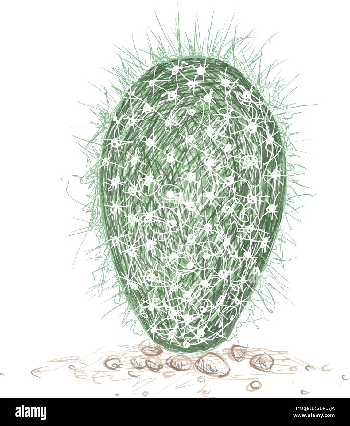 Old man cactus cephalocereus senilis Stock Vector Images - Alamy