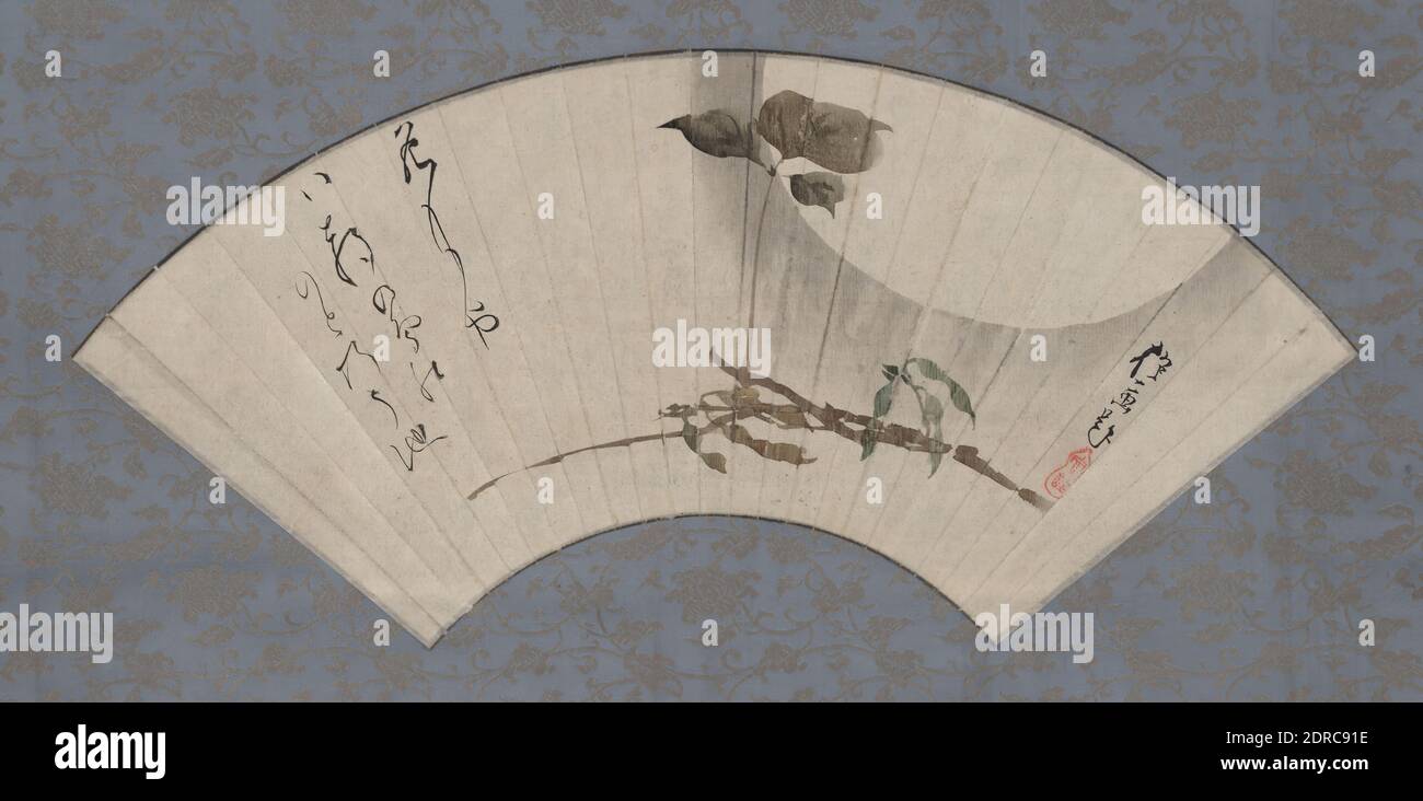 Raven bean hi-res stock photography and images - Alamy