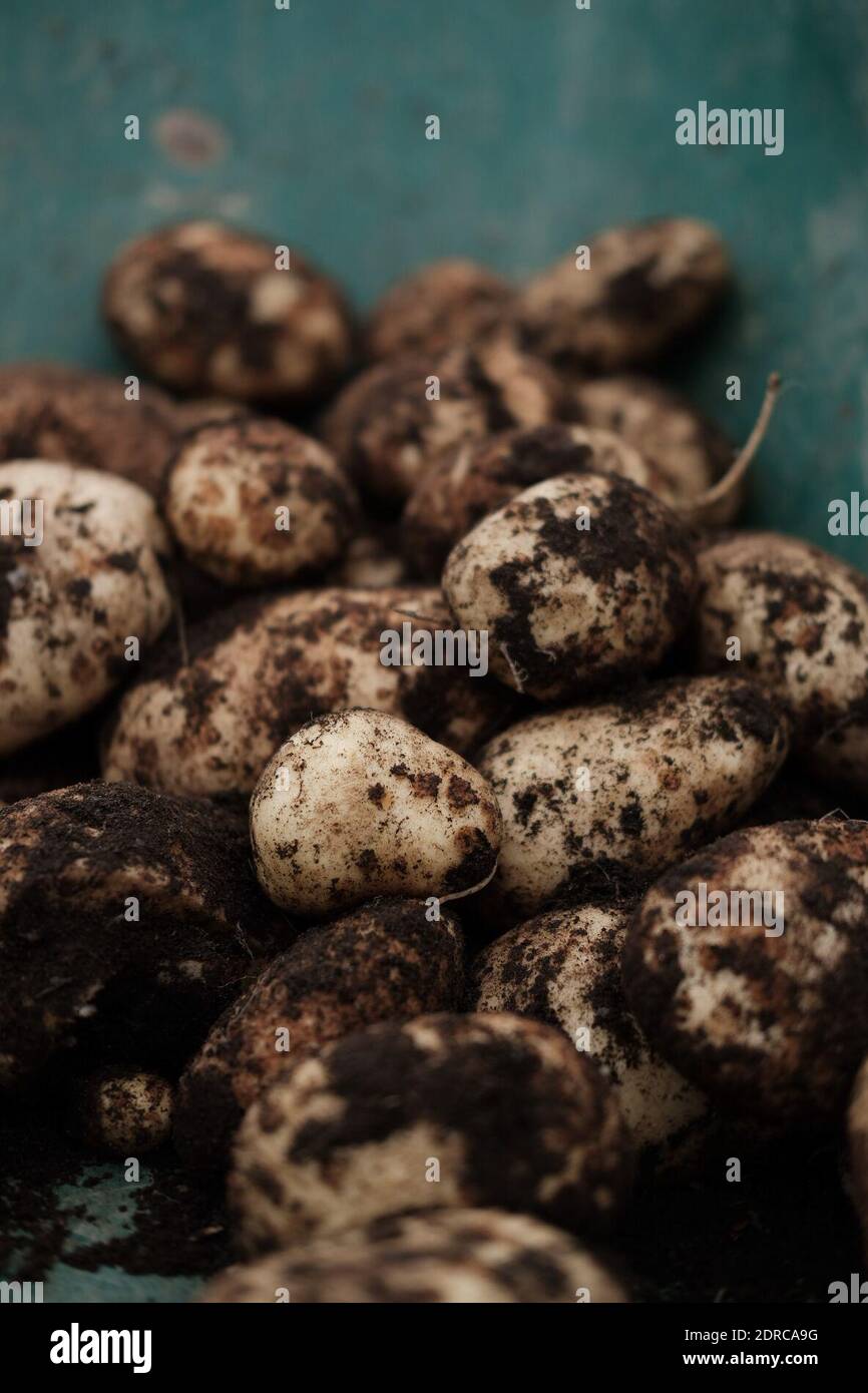 Mud container hi-res stock photography and images - Alamy