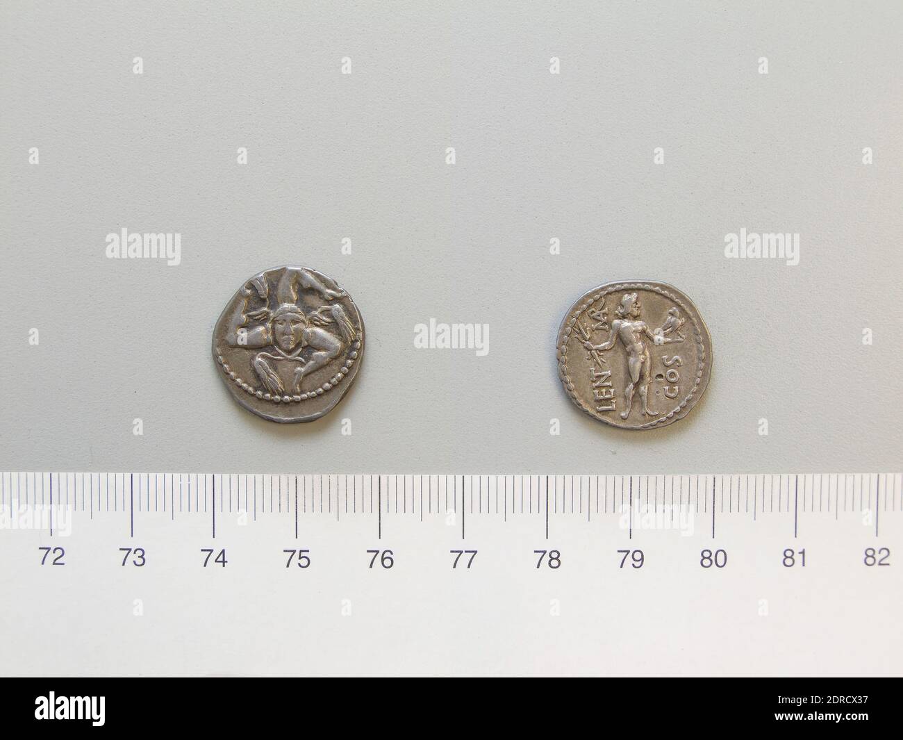 Marcellus g hi-res stock photography and images - Alamy