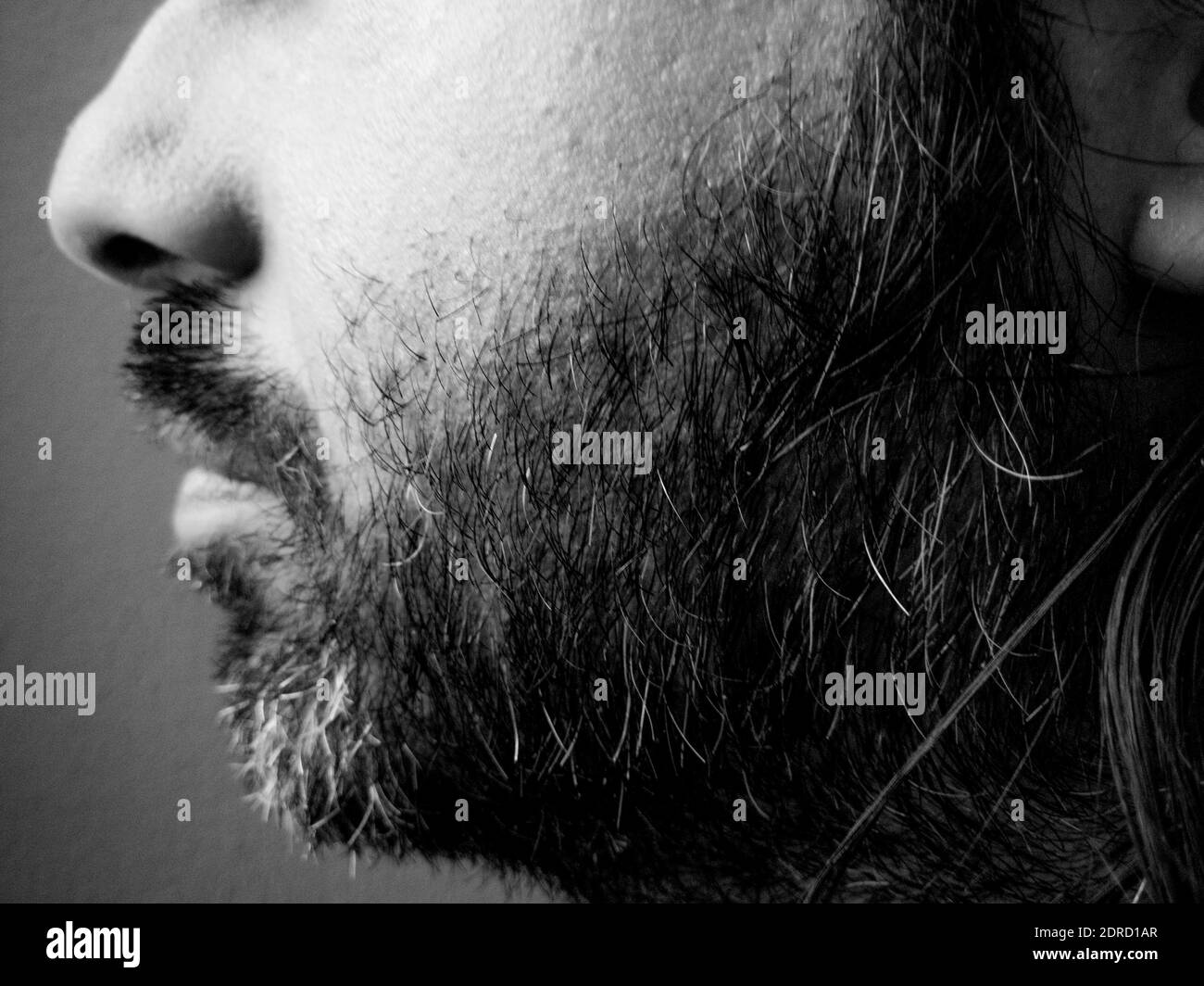 Body bearded hi-res stock photography and images - Alamy