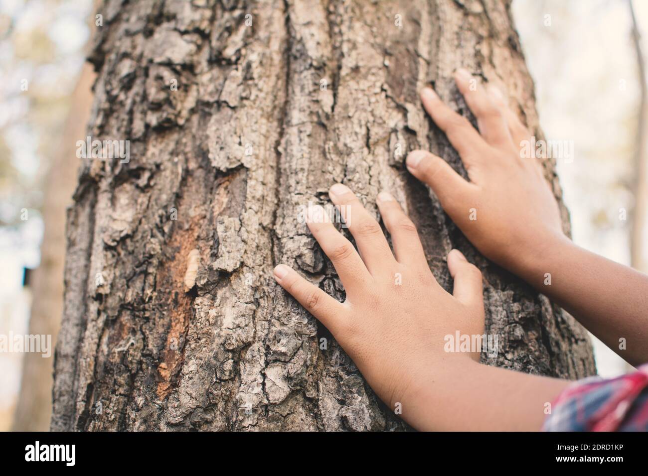 Human with environment hi-res stock photography and images - Alamy