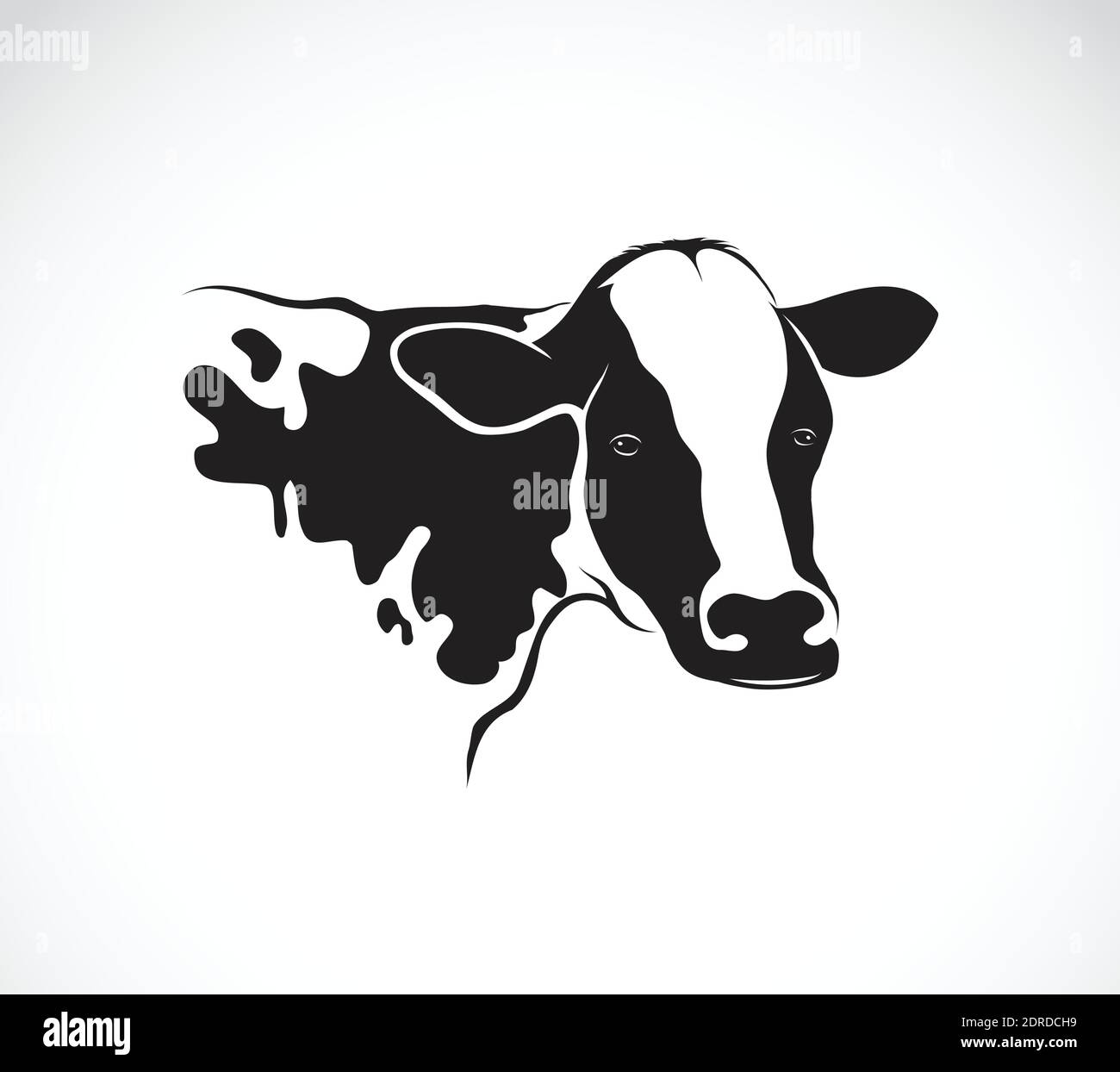 Vector of a cow on white background. Easy editable layered vector ...