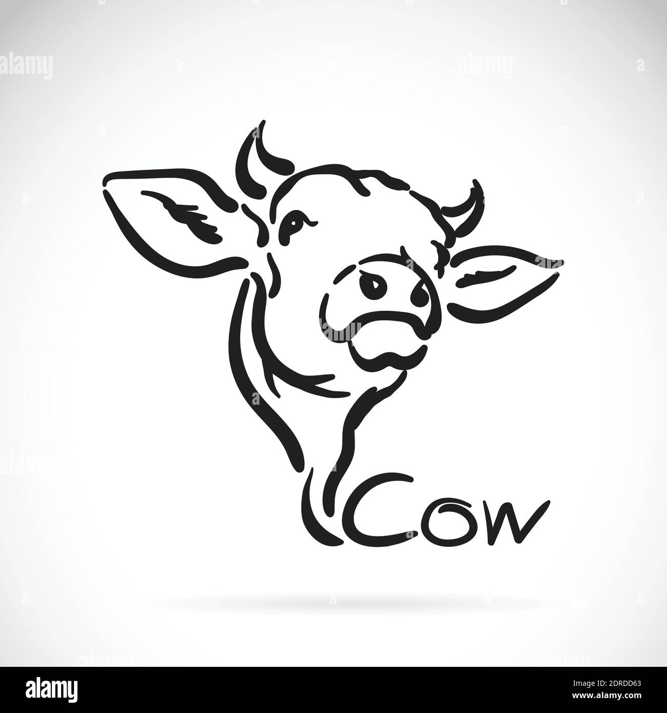 Vector of a cow logo on white background. Easy editable layered vector ...