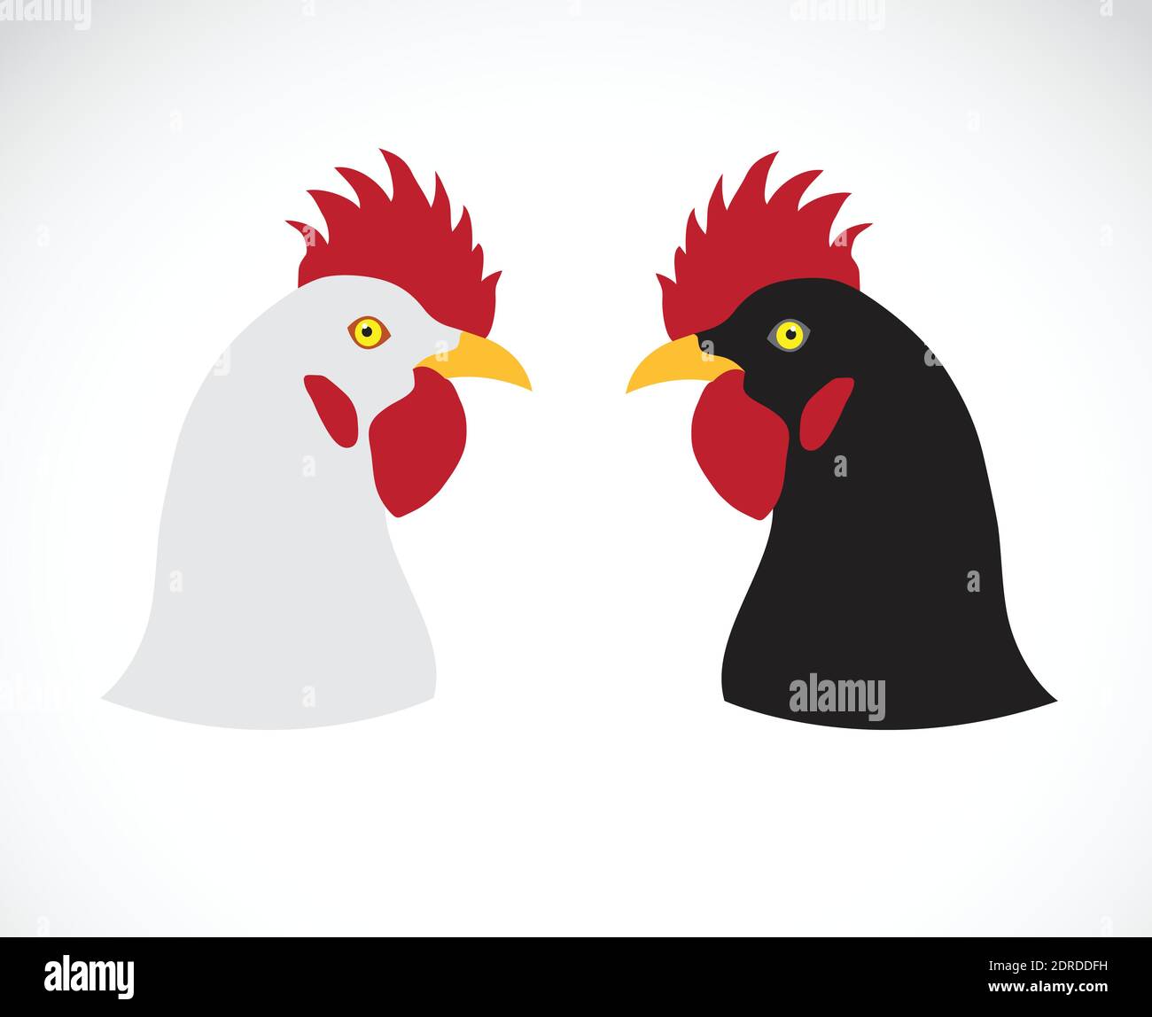 Vector image of an chicken head on white background. Easy editable ...