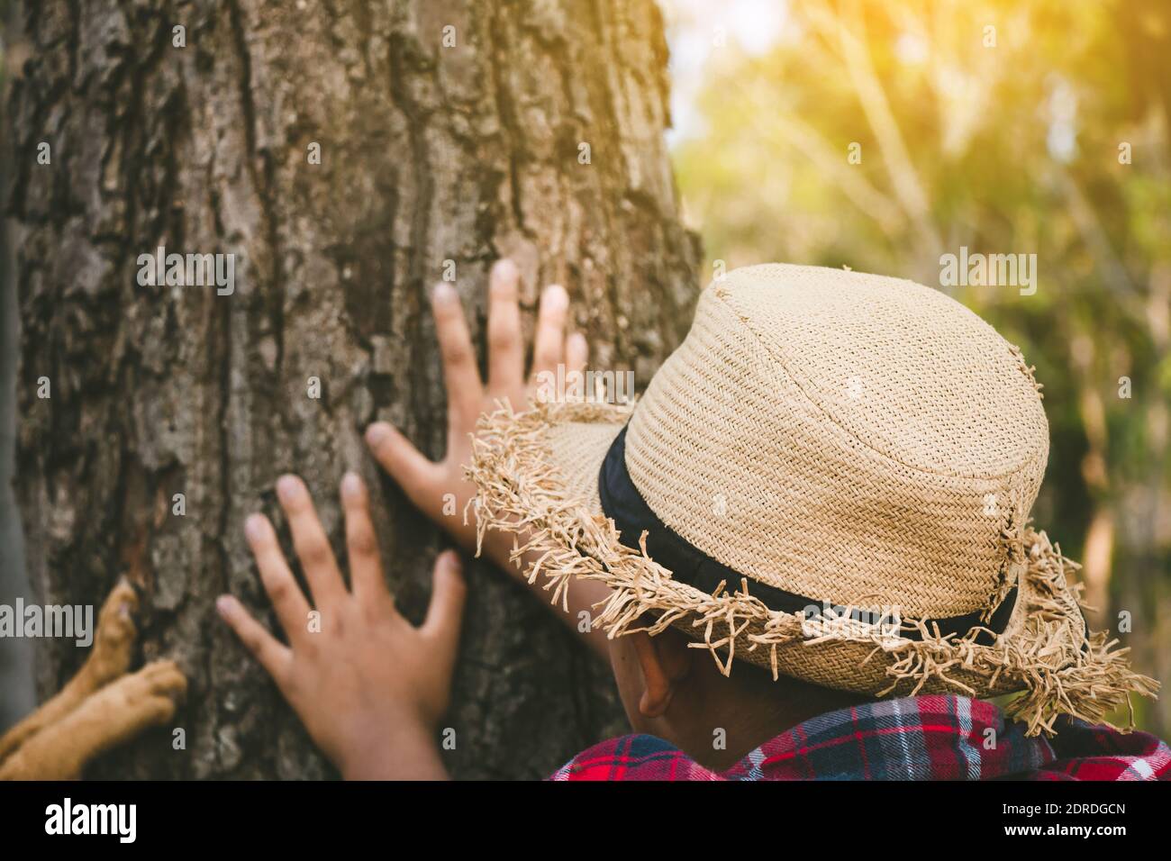 Man touching tree bark hi-res stock photography and images - Alamy