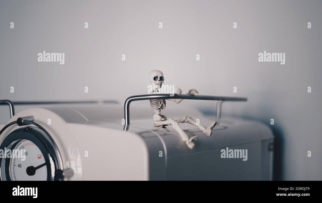 Human skeleton toy hi-res stock photography and images - Alamy