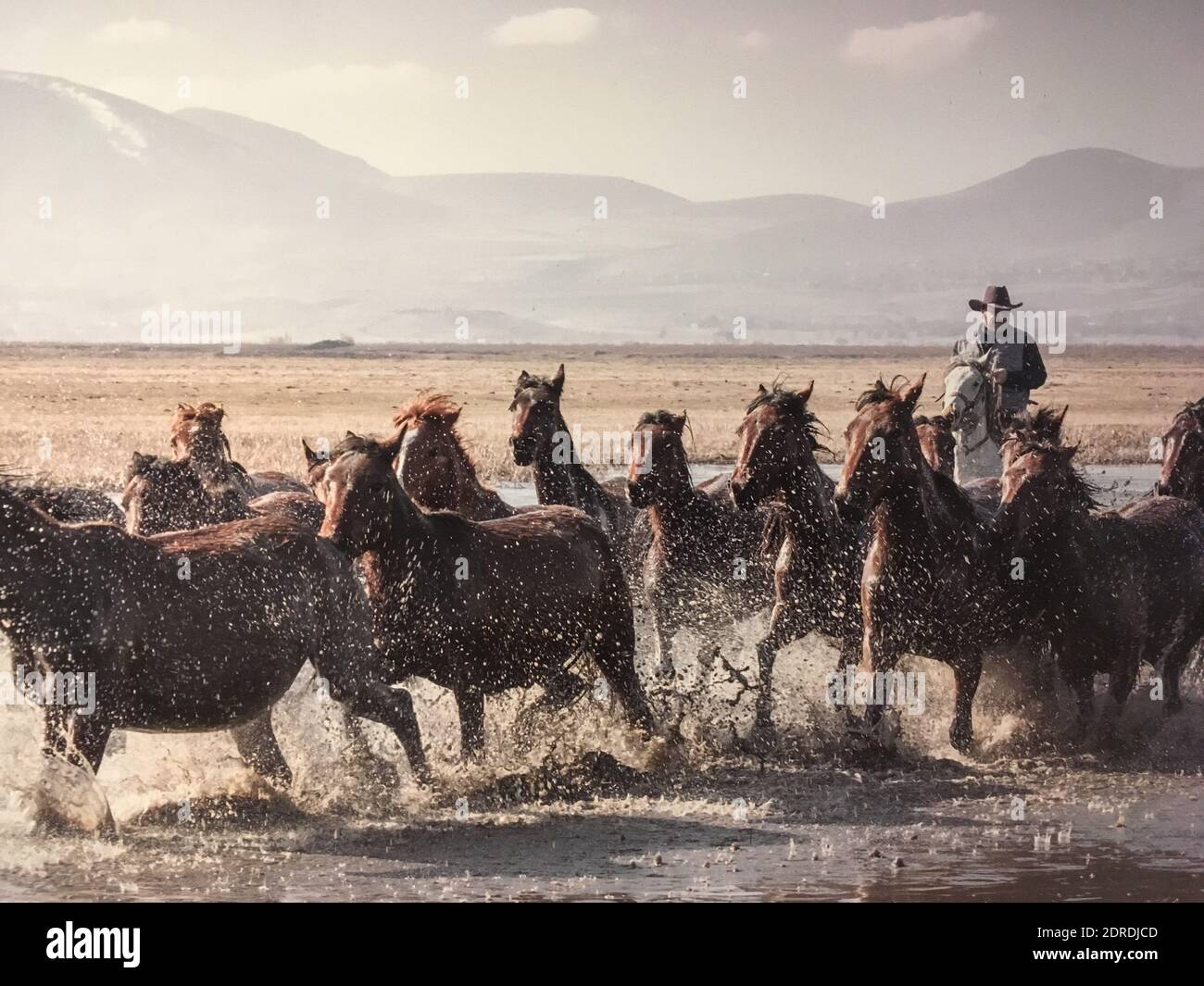 Plashing hi-res stock photography and images - Alamy