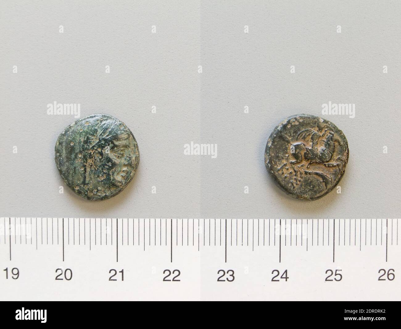 Cisthene hi-res stock photography and images - Alamy