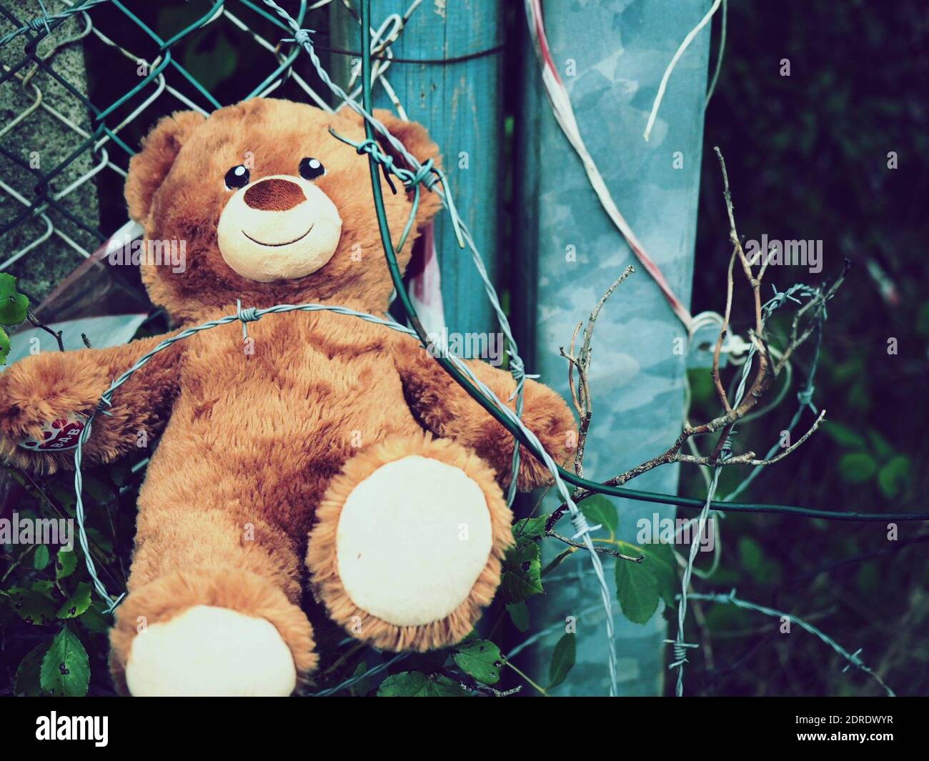 Teddy Bear Trapped High Resolution Stock Photography and Images - Alamy