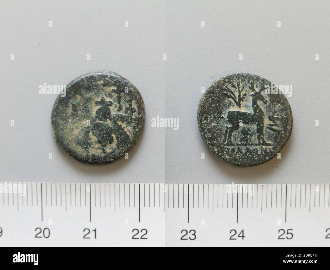 Mint: Ephesus, Coin from Ephesus, 2nd century B.C., Copper, 4.99 g, 1: ...