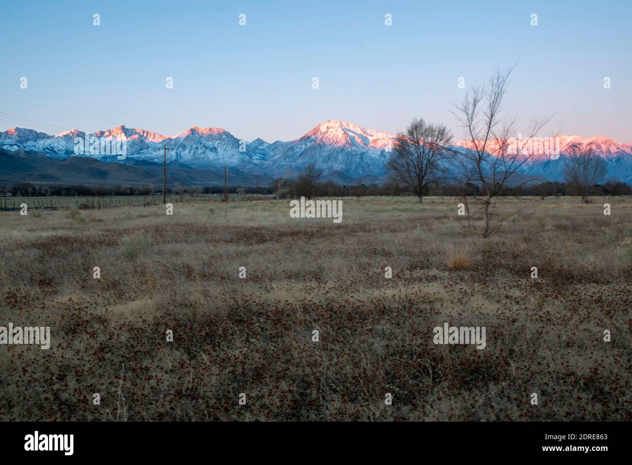 Mt. Tom is a prominent peak from the town of Bishop, Inyo County, CA ...