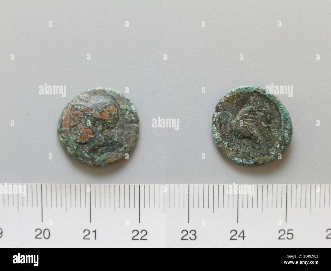 Leuce hi-res stock photography and images - Alamy