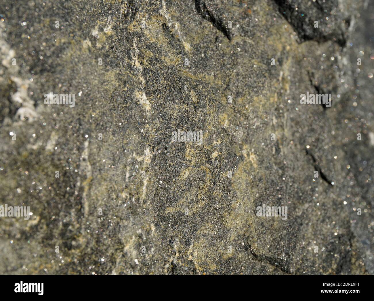 Dark yellow ground hi-res stock photography and images - Alamy