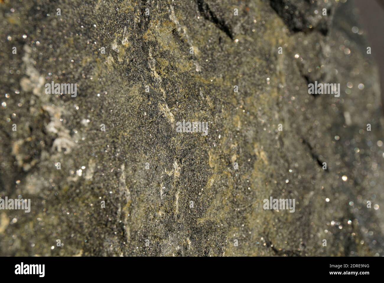 Dark yellow ground hi-res stock photography and images - Alamy