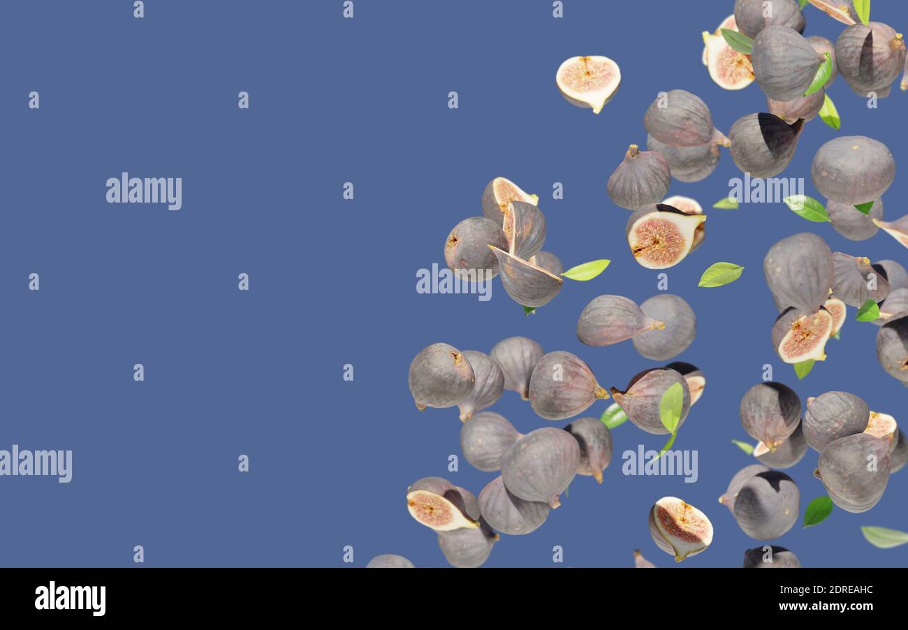 Falling figs hi-res stock photography and images - Alamy