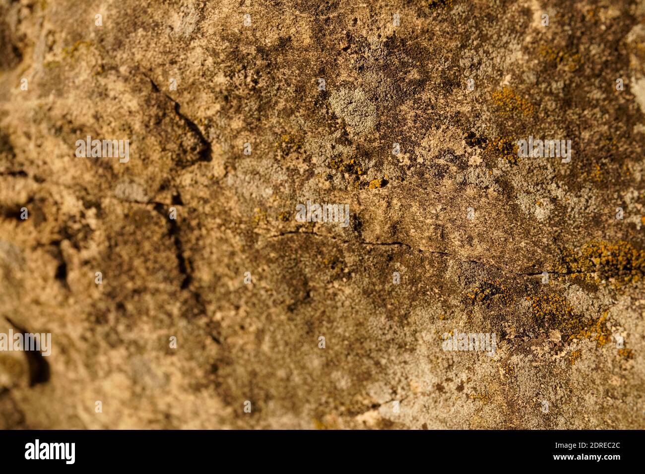 The texture of rock on the ground Stock Photo - Alamy