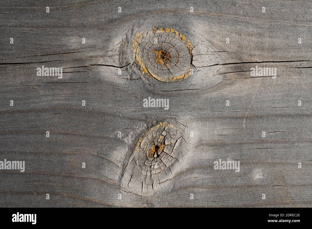 Wood bench texture hi-res stock photography and images - Alamy