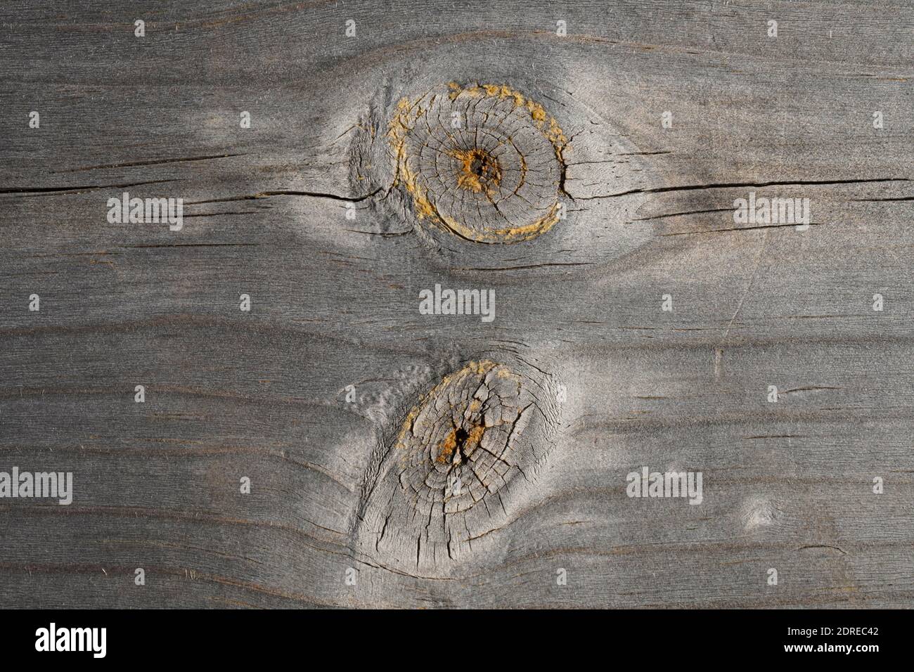 The texture of wood panel in the bench Stock Photo - Alamy