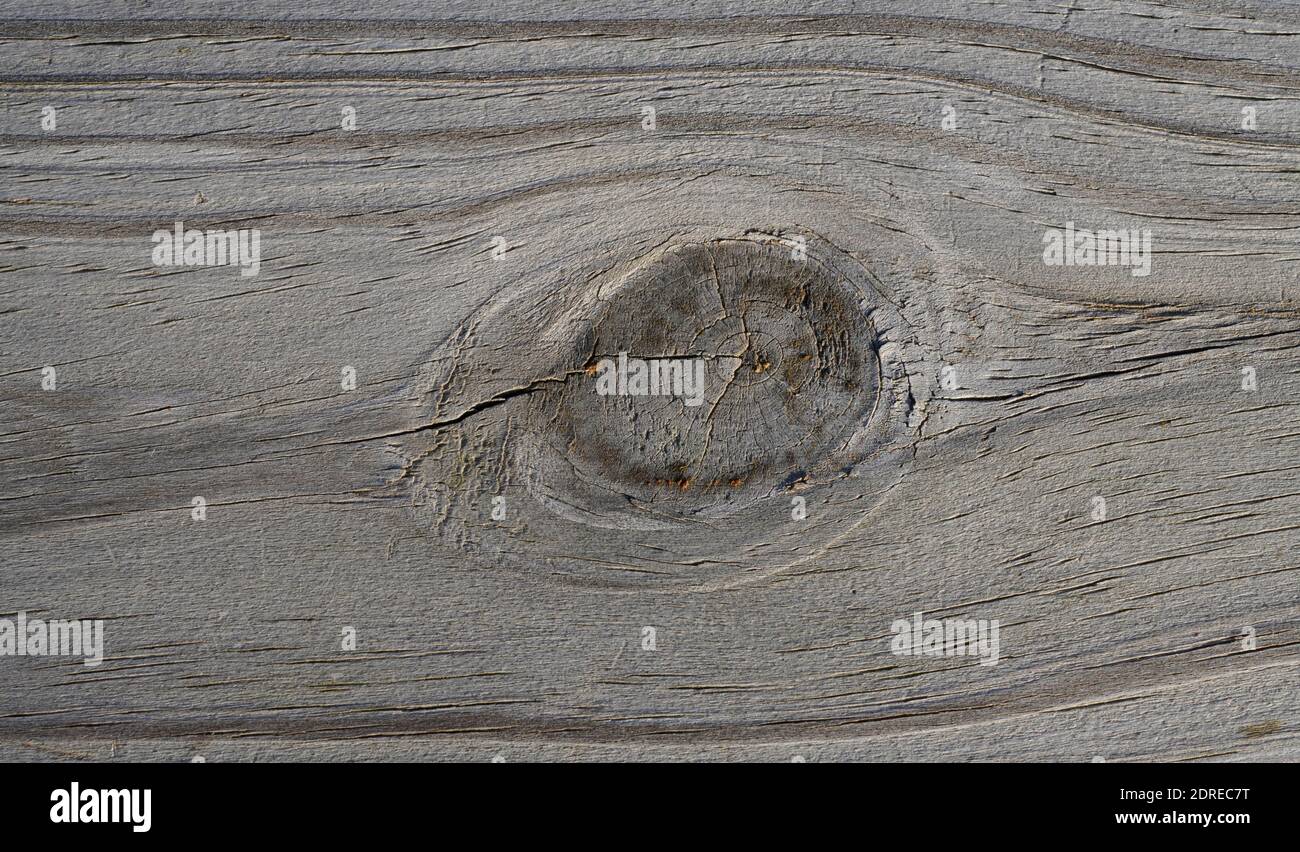 Wood bench texture hi-res stock photography and images - Alamy