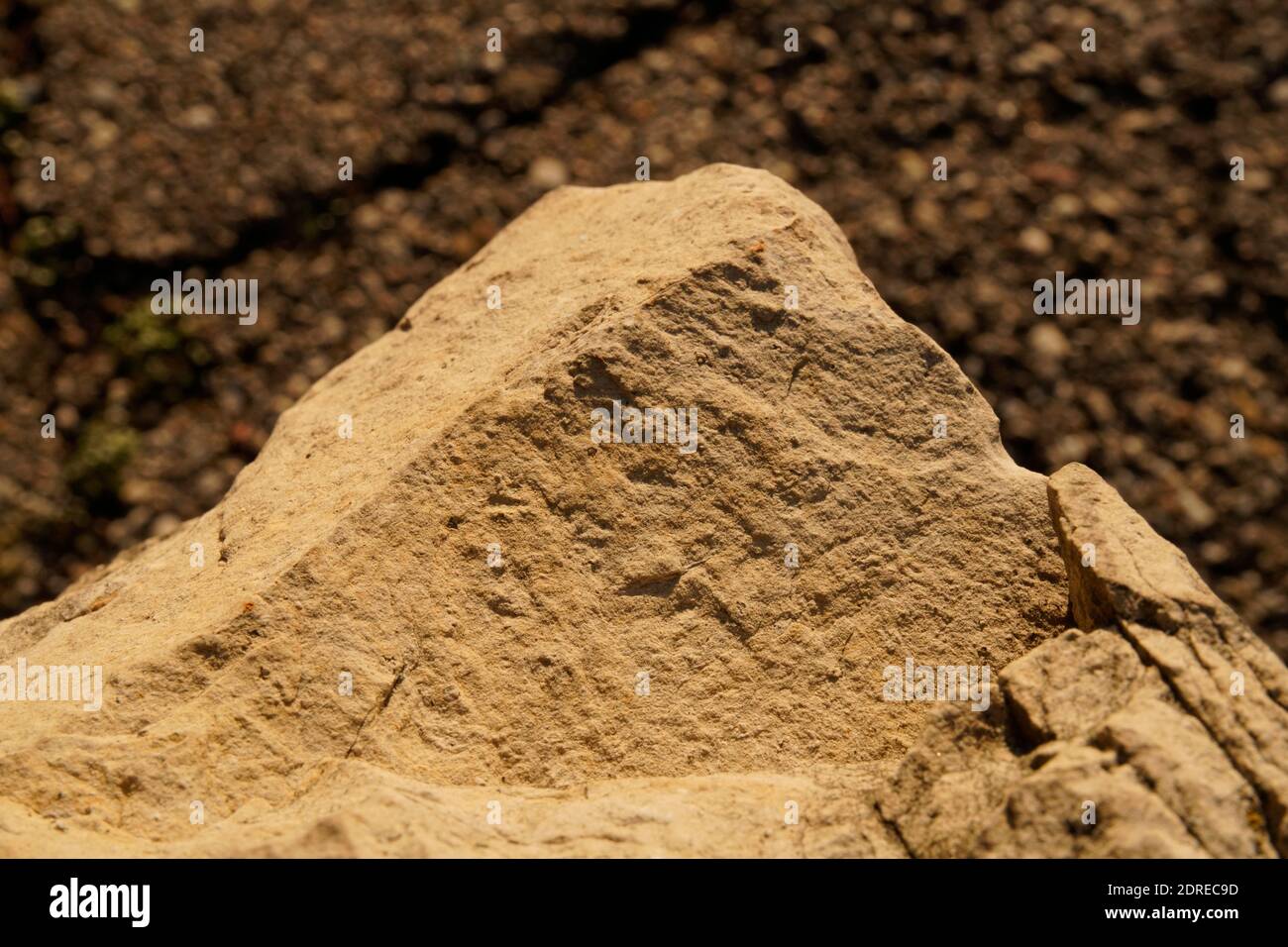 The texture of rock on the ground Stock Photo - Alamy