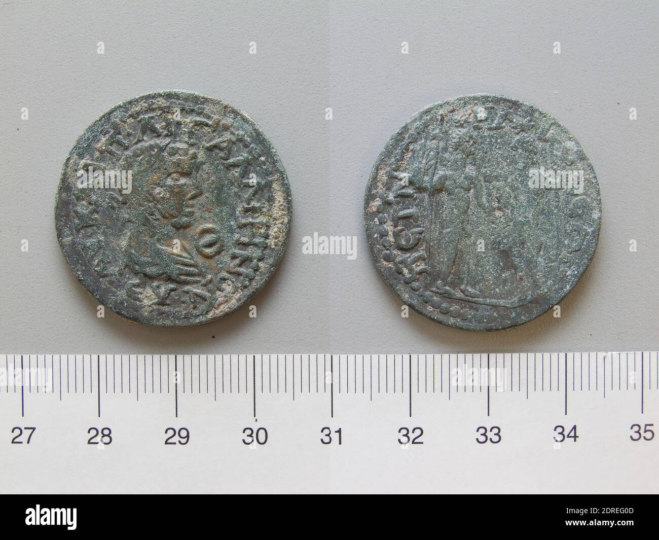 Pednelissus hi-res stock photography and images - Alamy