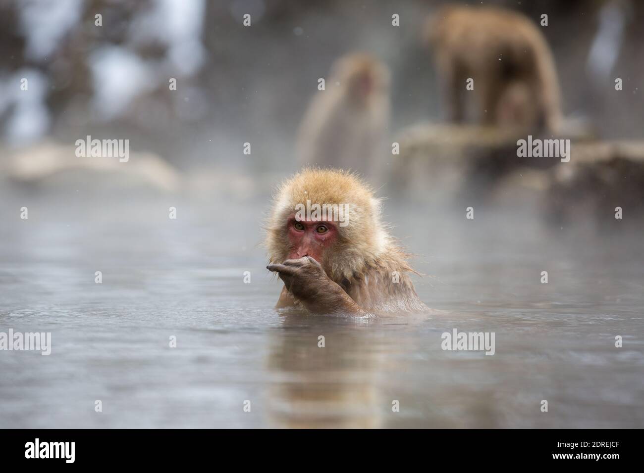Temperature hot head hi-res stock photography and images - Alamy