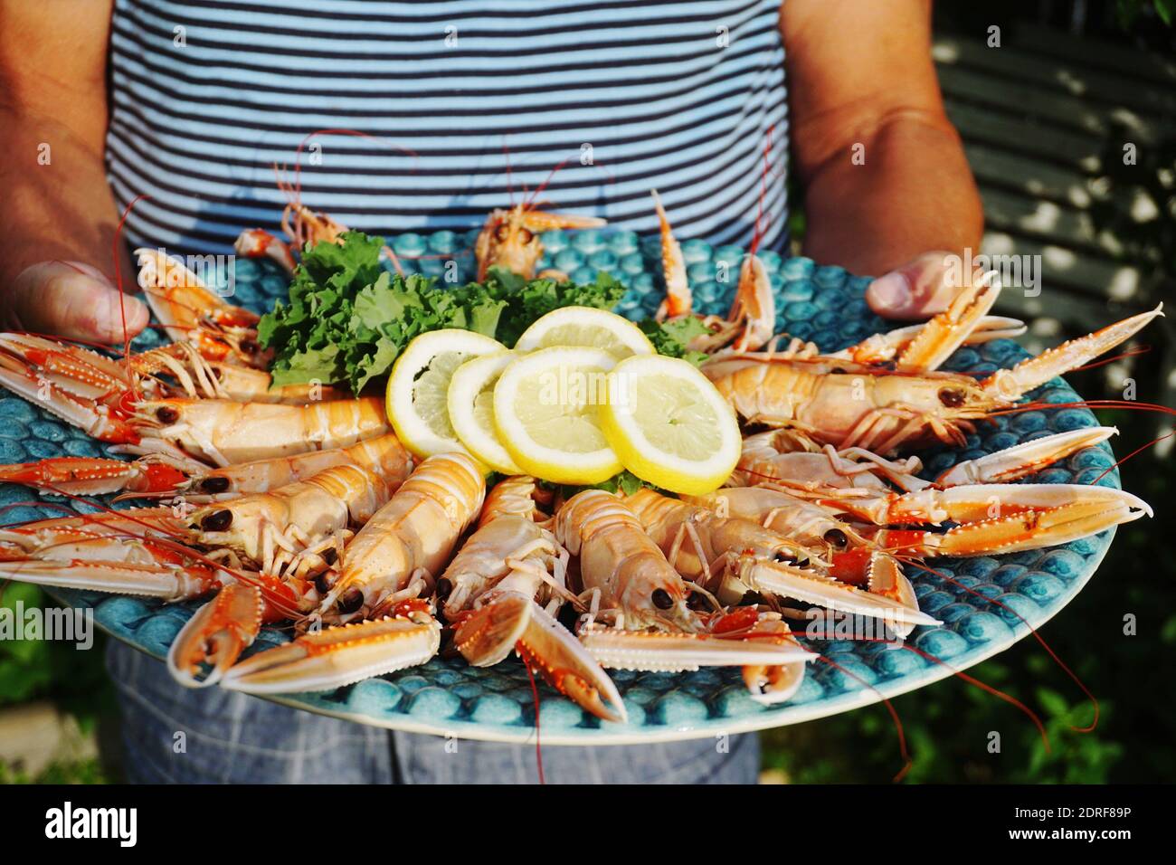 Human hand crayfish hi-res stock photography and images - Alamy