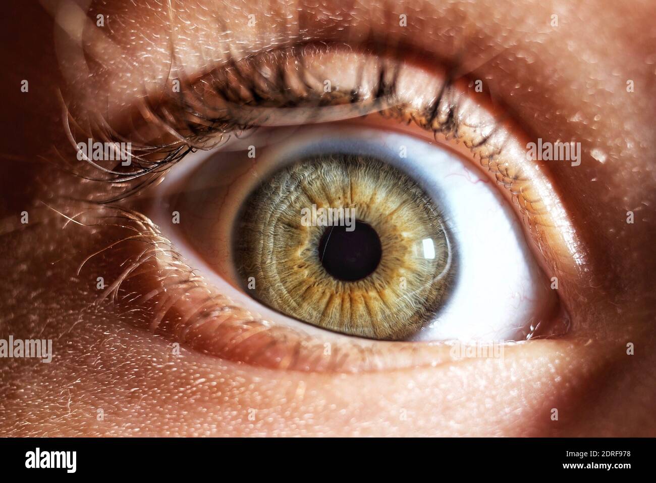 Extreme close up hazel eyes hi-res stock photography and images - Alamy
