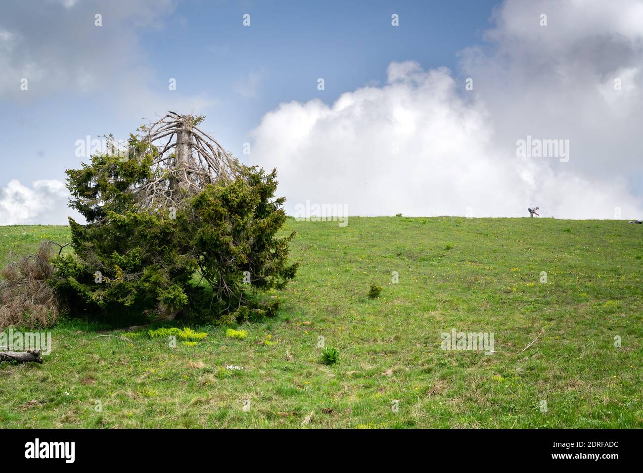 Damage caused by storm hi-res stock photography and images - Alamy