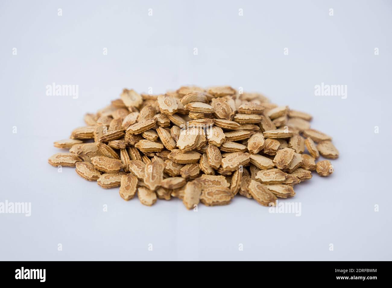 Bitter Gourd Seeds Stock Photo - Alamy