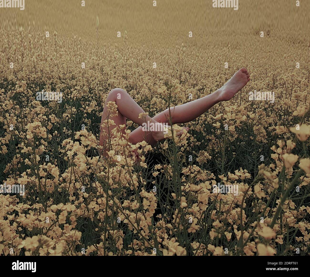 Lying Head To Toe High Resolution Stock Photography and Images - Alamy