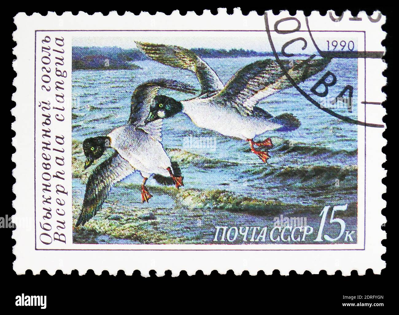 MOSCOW, RUSSIA - FEBRUARY 10, 2019: A stamp printed in USSR (Russia ...
