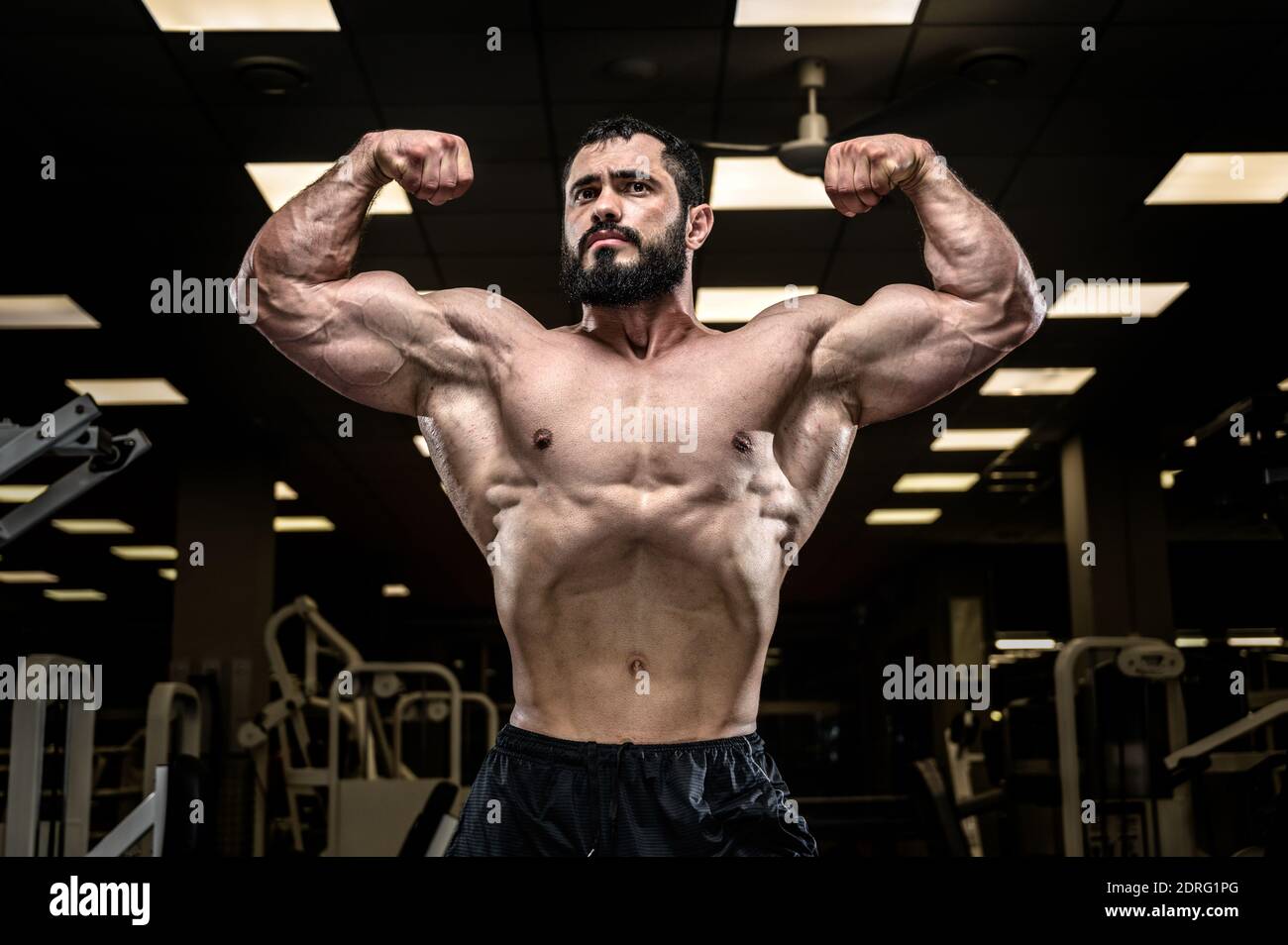 strong young man with beard showing powerful biceps arms muscle posing ...