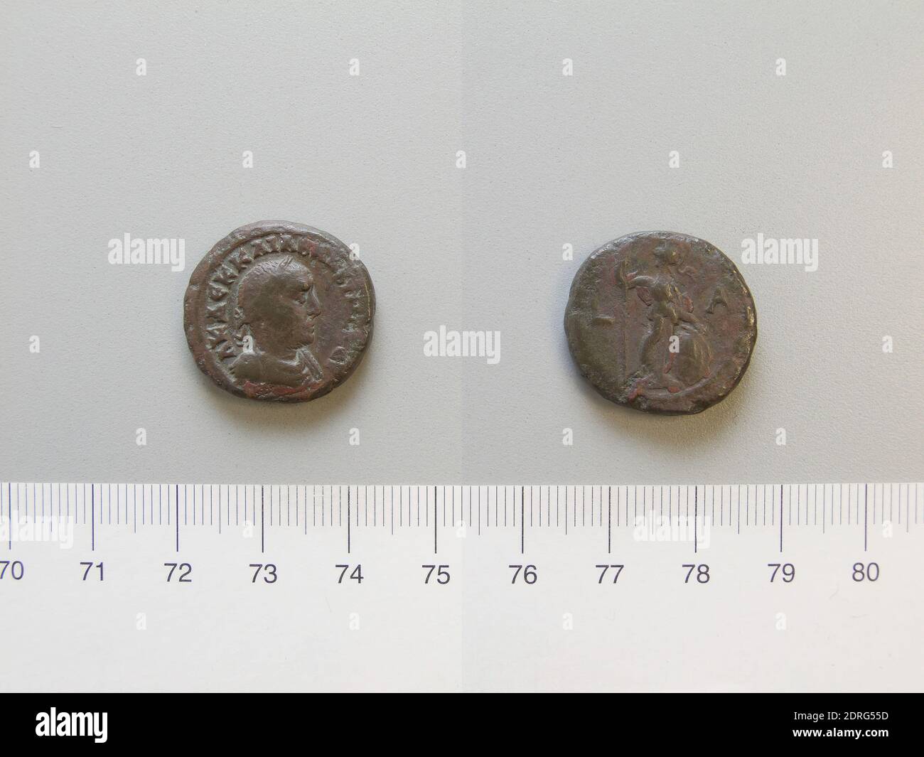 Emperor balbinus hi-res stock photography and images - Alamy