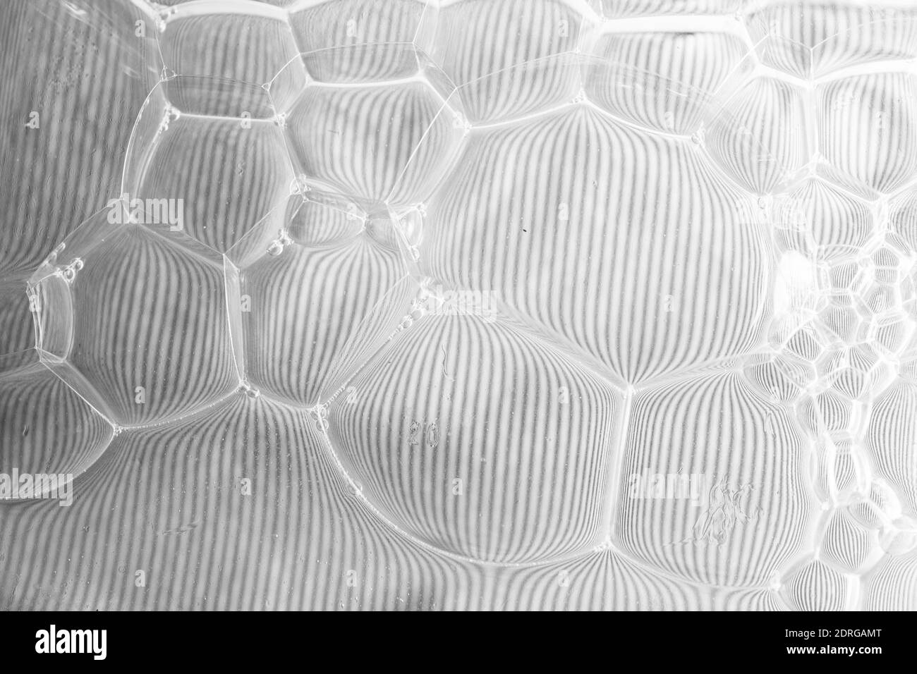 Colorful base Black and White Stock Photos & Images - Alamy