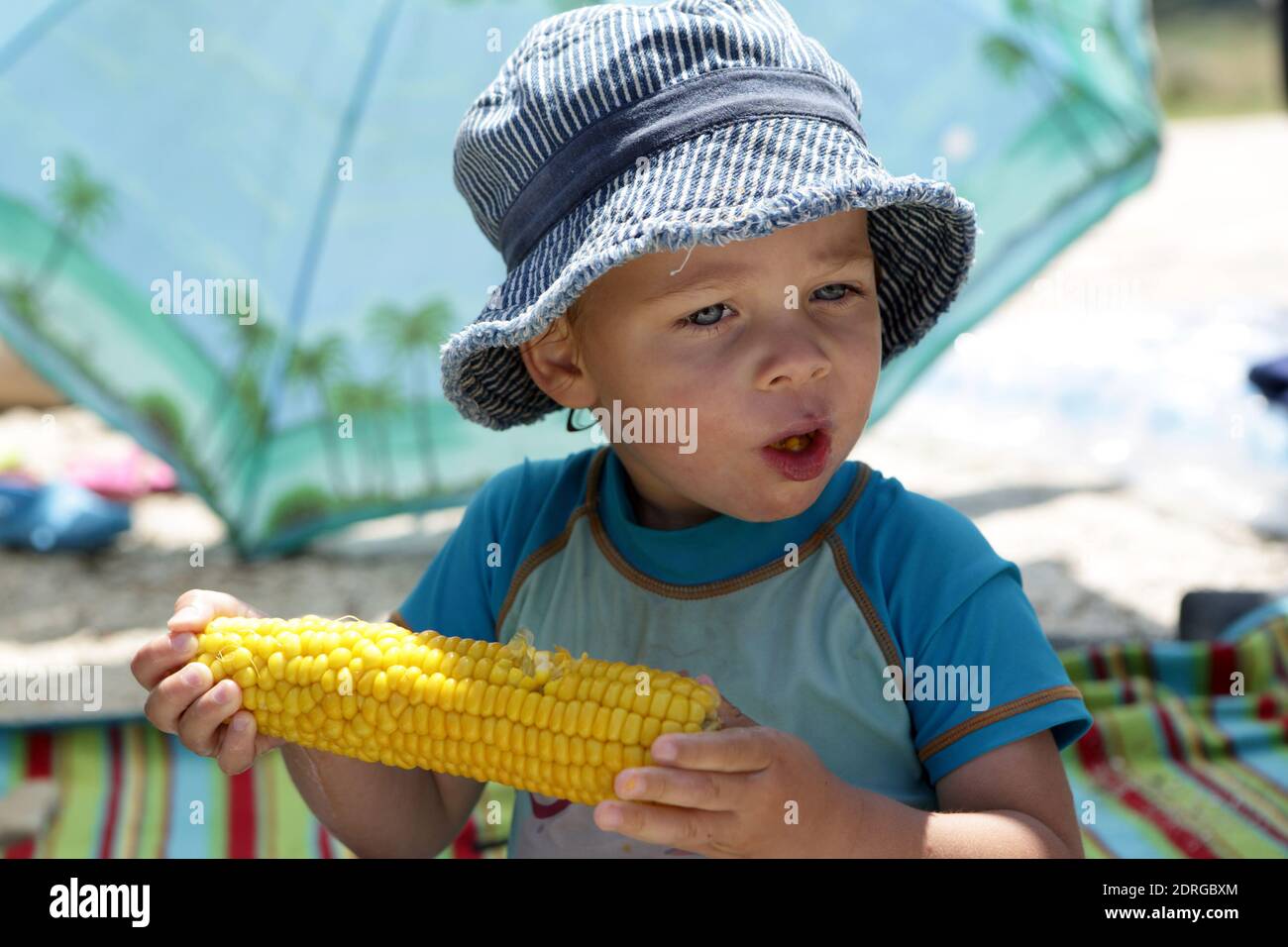 Child in panama eating corn on picnic Stock Photo - Alamy